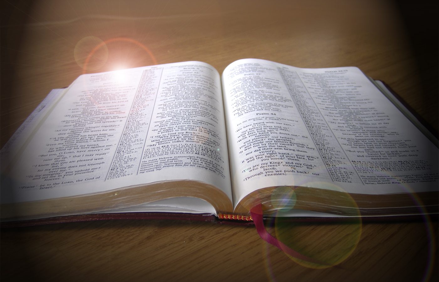 Proverbele 11 - Studiu Biblic