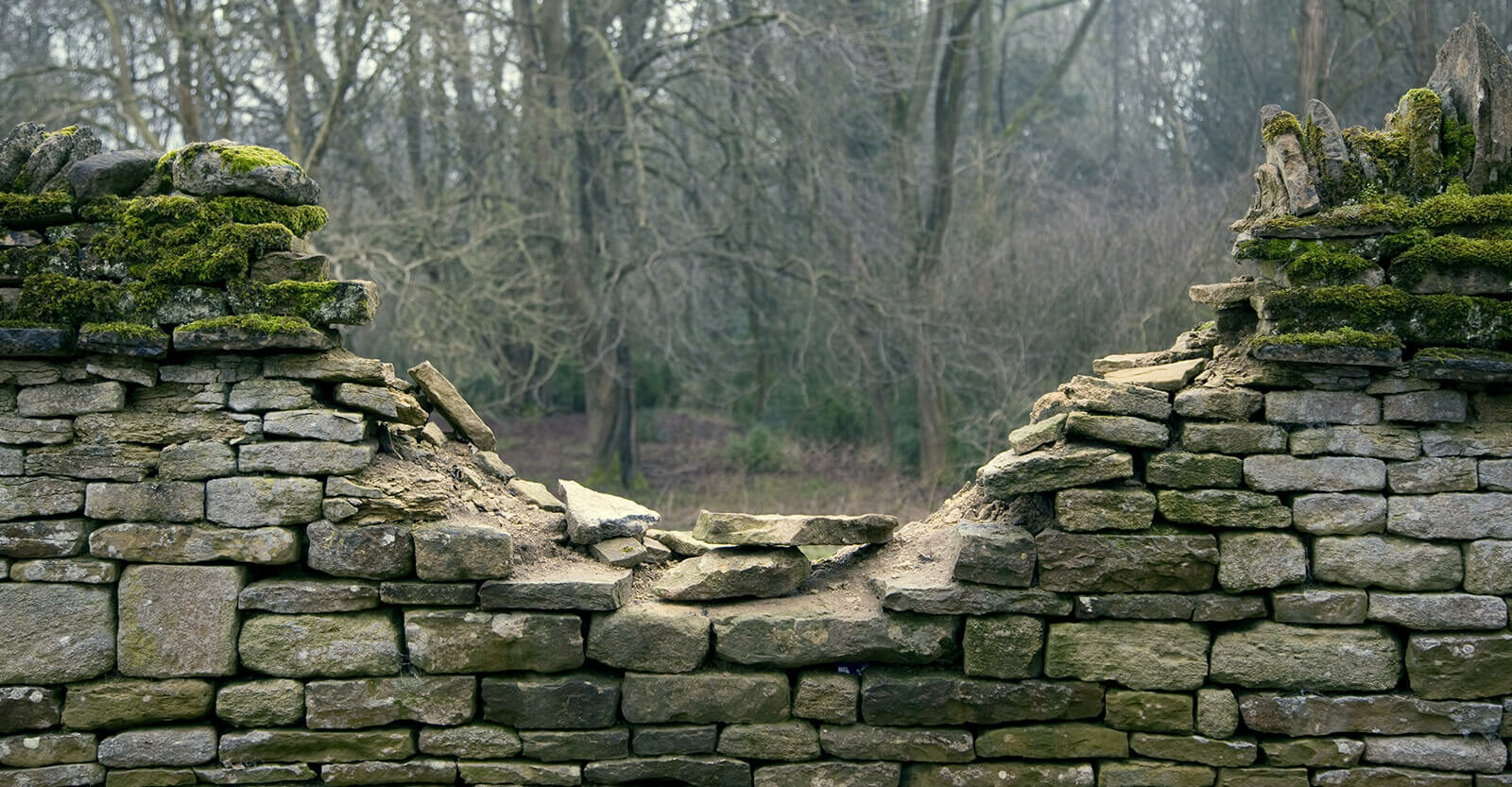 [marți, 25 iulie] Dărâmarea zidului - Studiu Biblic